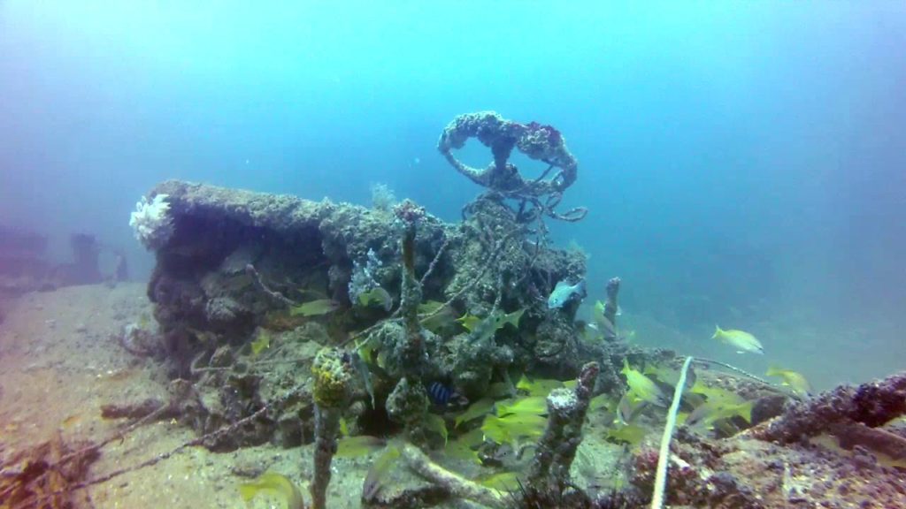 Best spots for scuba diving in Dubai - Mala