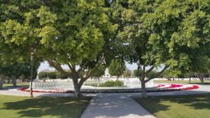 Top Public Parks in Sharjah (2025 Updated)