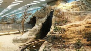 Top Public Parks in Sharjah (2024 Updated)