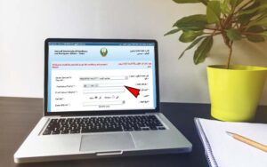 How Can You Check Your Visa Status Online in UAE?